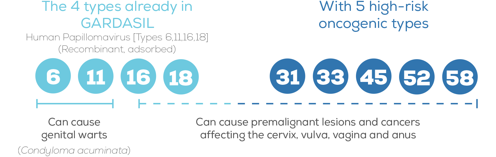 About Gardasil 9 | GARDASIL®9 (Human Papillomavirus 9 valent Vaccine ...