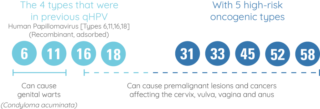 About Gardasil 9 | GARDASIL®9 (Human Papillomavirus 9 valent Vaccine ...