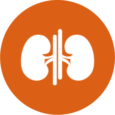 About ZERBAXA | ZERBAXA® (ceftolozane/tazobactam) | MSD Connect UK