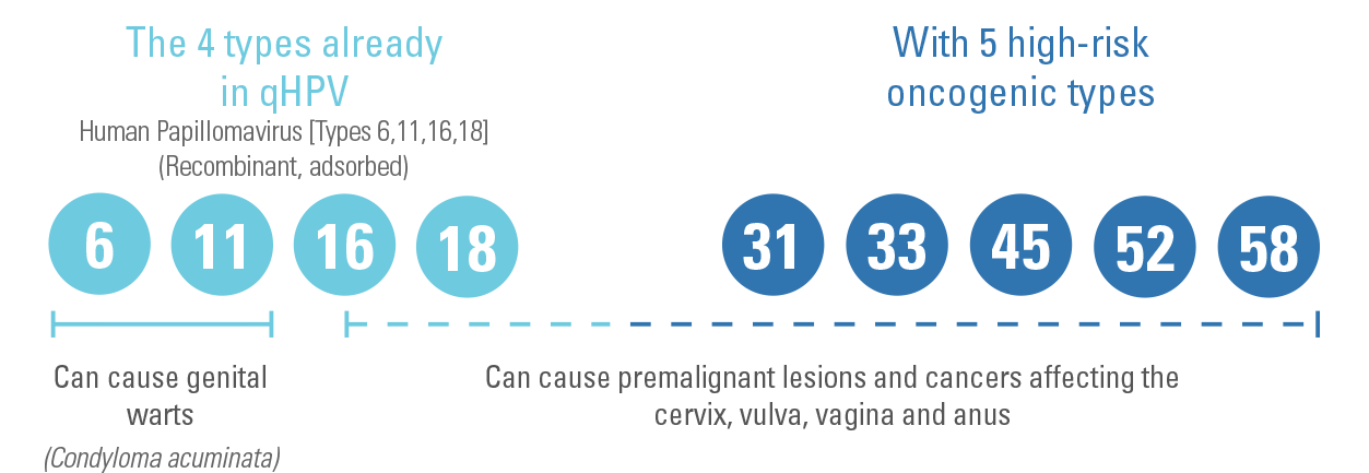 About Gardasil 9 | GARDASIL®9 (Human Papillomavirus 9 valent Vaccine ...